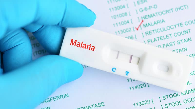 Malaria Cure Revealed – LIFE ENTHUSIAST